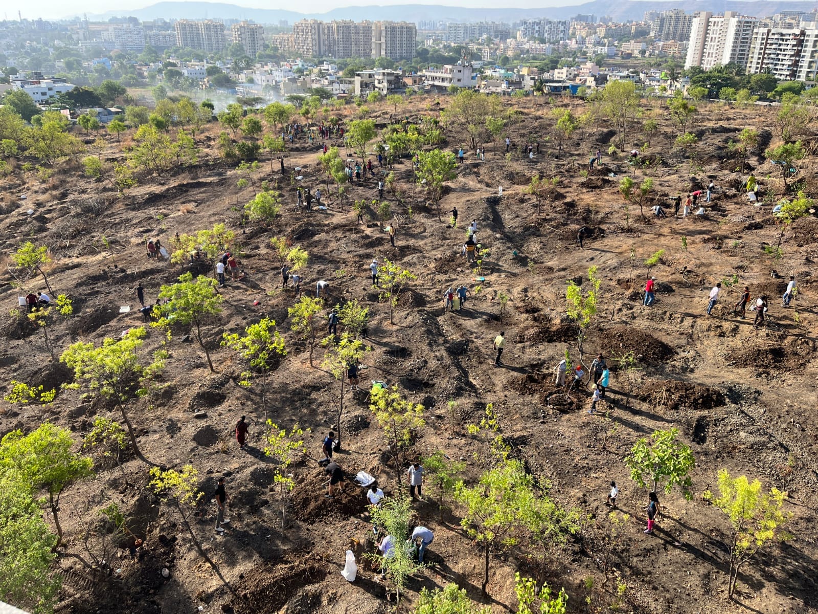 Anandvan Foundation – Urban Forest Movement