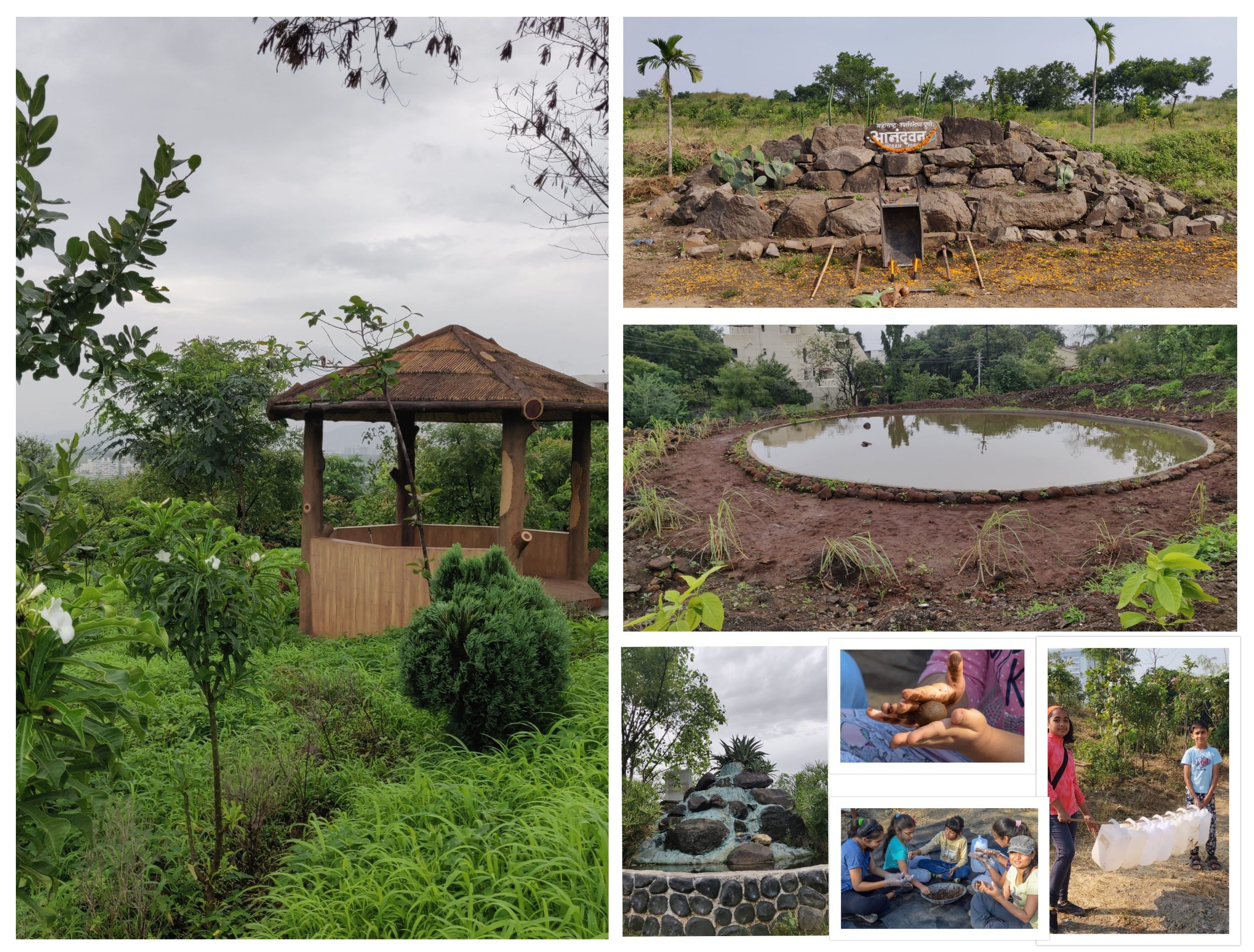 Anandvan Foundation – Urban Forest Movement