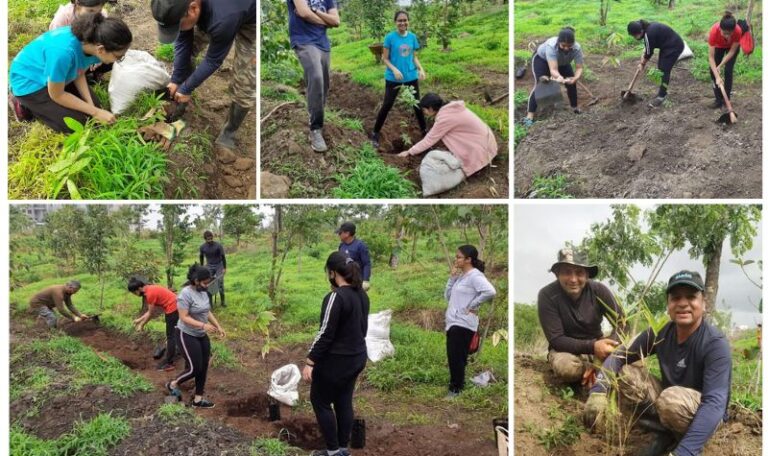 AVMM Commences its Plantation Program of This Year by Planting 332 ...